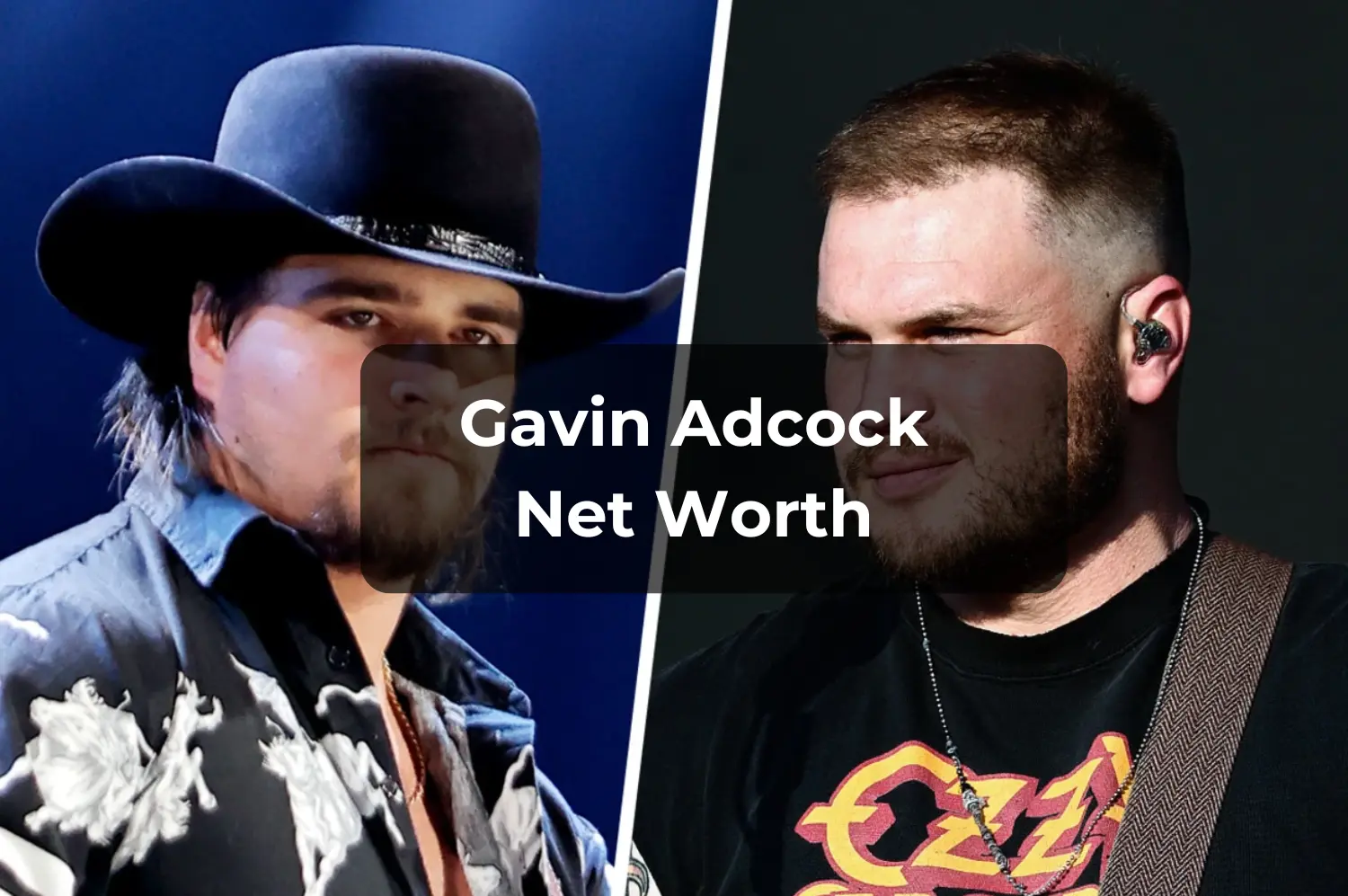 Gavin Adcock Net Worth – Everything You Need to Know - Pure Peaceful Life